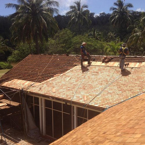 #1 24″ Roofing Royals Centigrade Blue Label Western Red Cedar